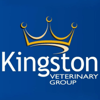 Kingston Vets, Hull | Vets - Yell