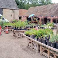 Jackson's Plant Sales | Retail Horticultural Nurseries - Yell