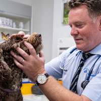 The George Veterinary Group, Malmesbury | Vets - Yell