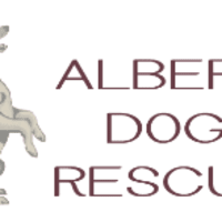 Albery Dog Rescue, Bedford | Pet Services - Yell