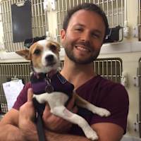 Saint Leonard Veterinary Centre, Derby | Vets - Yell