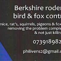 Berkshire Rodent, bird & fox control | Pest & Vermin Control Services ...