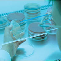 Cultech Ltd, Port Talbot | Pharmaceutical Suppliers - Yell