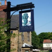 The Elm Tree, Chesterfield | Pubs - Yell