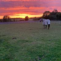 Murcot Farm Livery Stables, Broadway | Stables - Yell