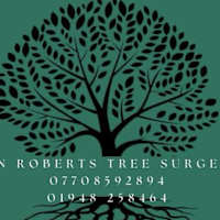 Ben Roberts Tree Surgery and Landscaping | Tree Surgeons - Yell