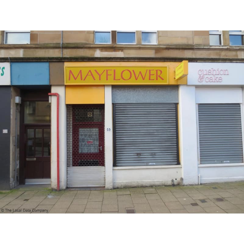 Mayflower Chinese Motherwell Number | Best Flower Site