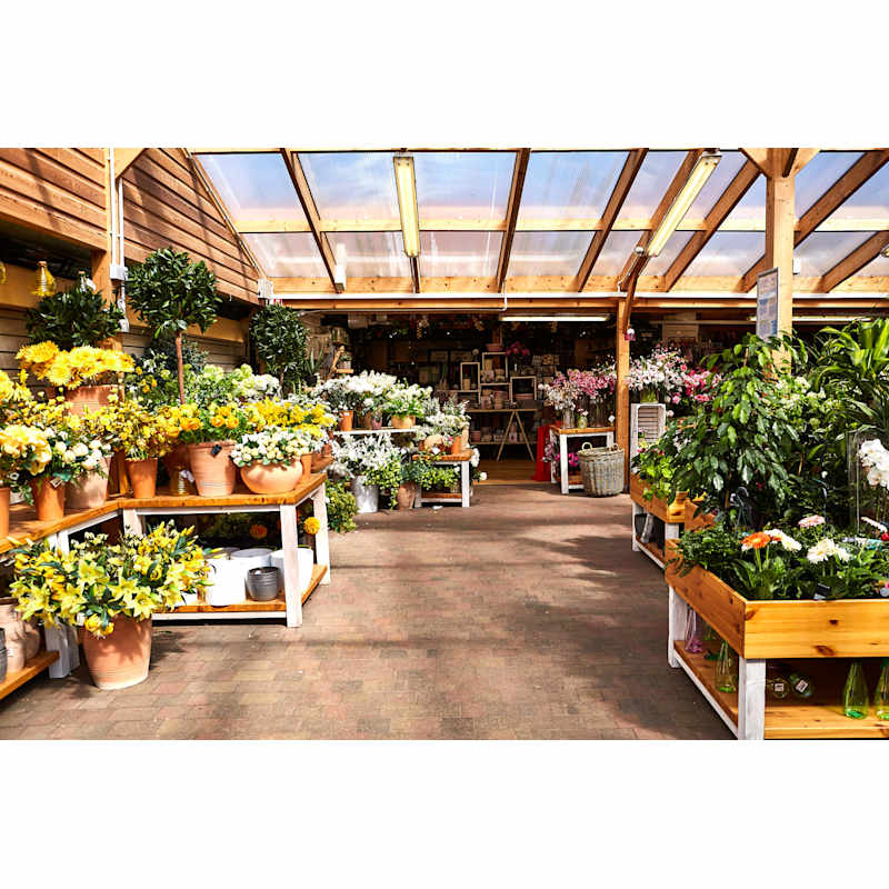 Scotsdales Garden Centre Fordham Reviews | Fasci Garden